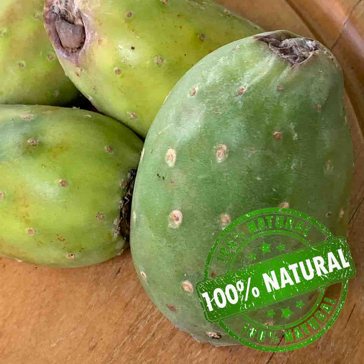 Seeds of white prickly pear nopal (Opuntia cactus) pack of 100 ...