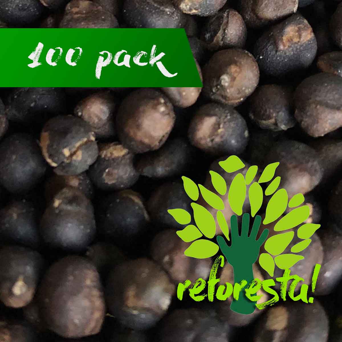 CEIBA Pentandra tree seeds - 100 pieces – ReforestaShop